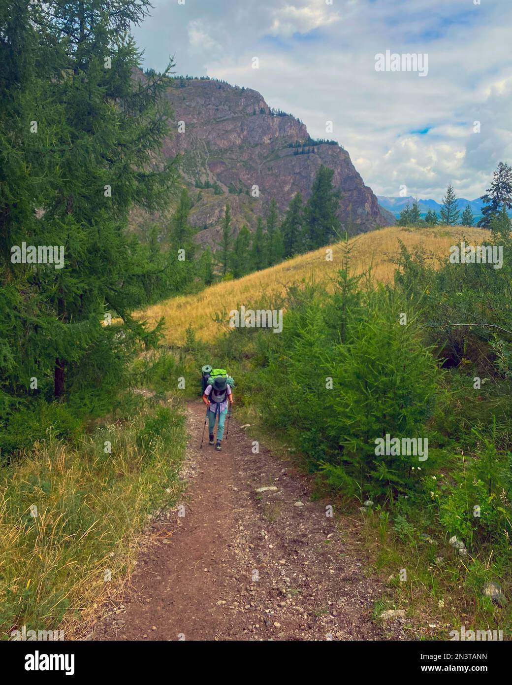 Girl traveler with a backpack on trekking sticks climbing up the ...