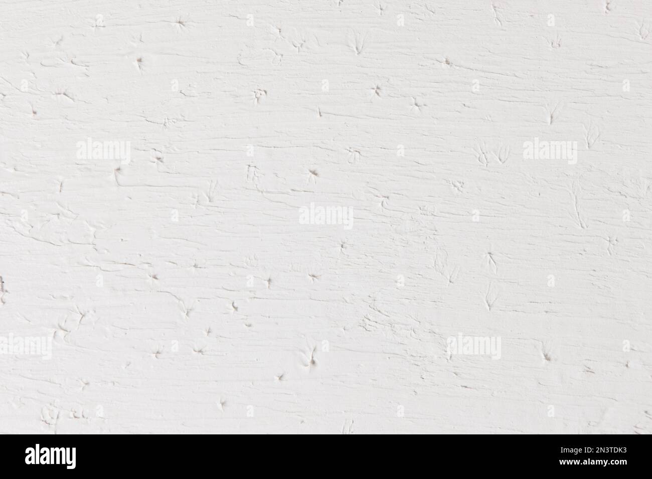 White background, rough and grungy plaster texture Stock Photo - Alamy
