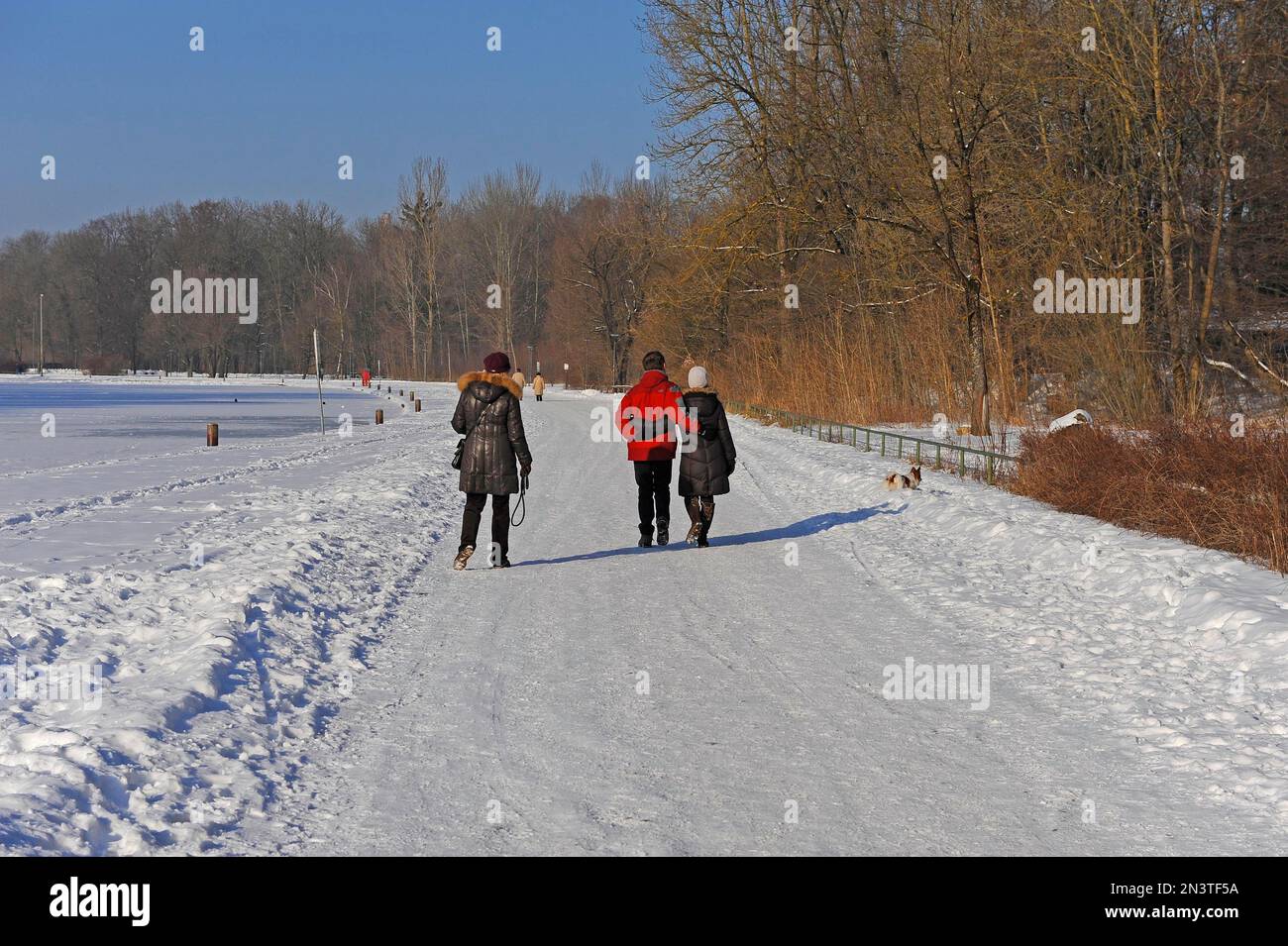 Three walkers in winter with snow, Hinterbruehl, Munich, Bavaria ...