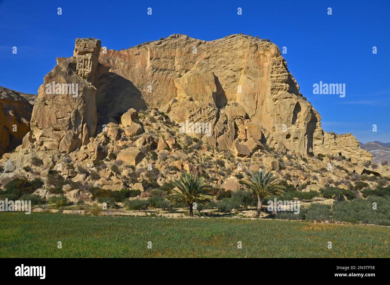 Palm trees in front of rock massif at Calguerin caves, Mediterranean ...