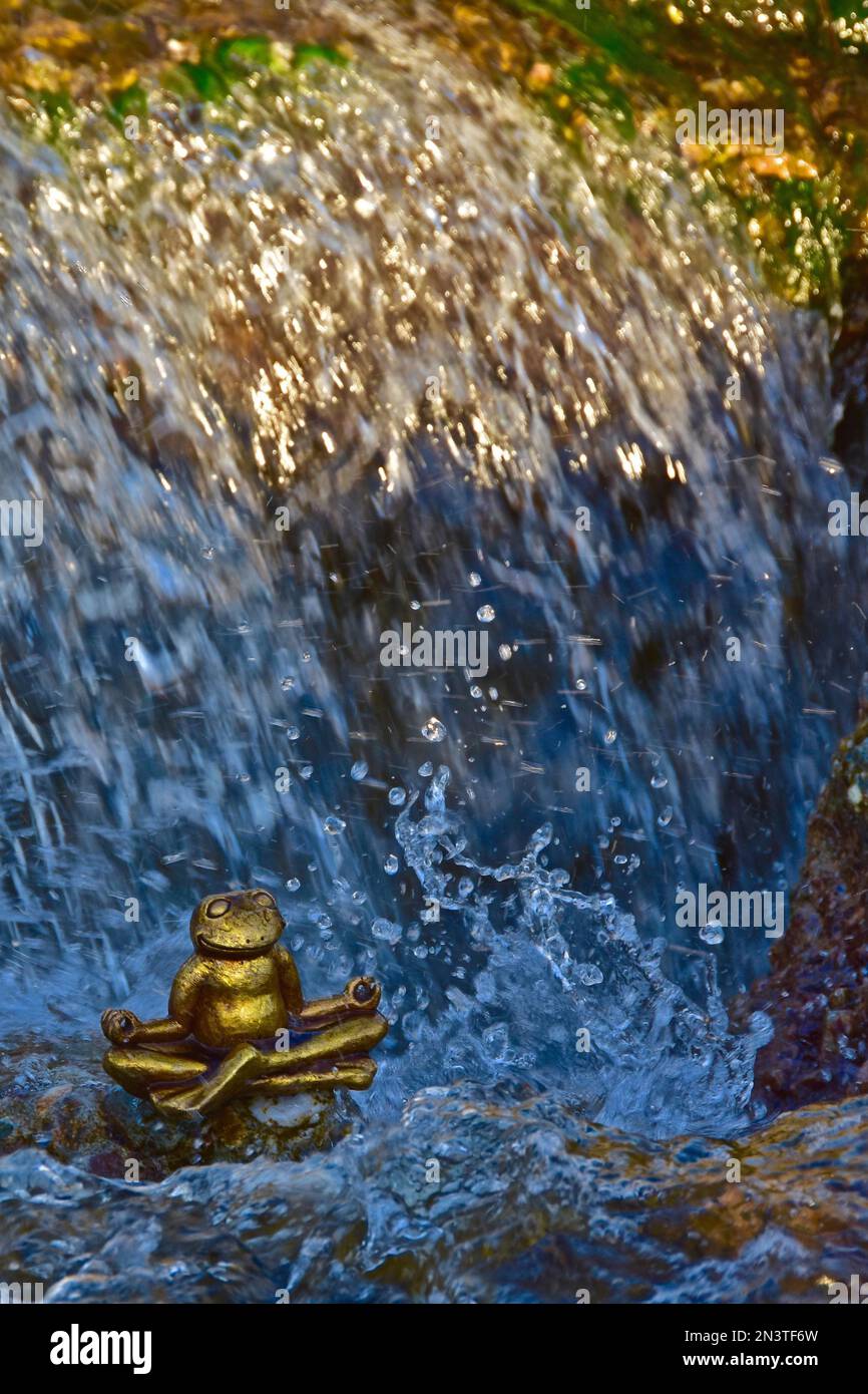 Meditating golden frog from above, top view, golden frog figure ...