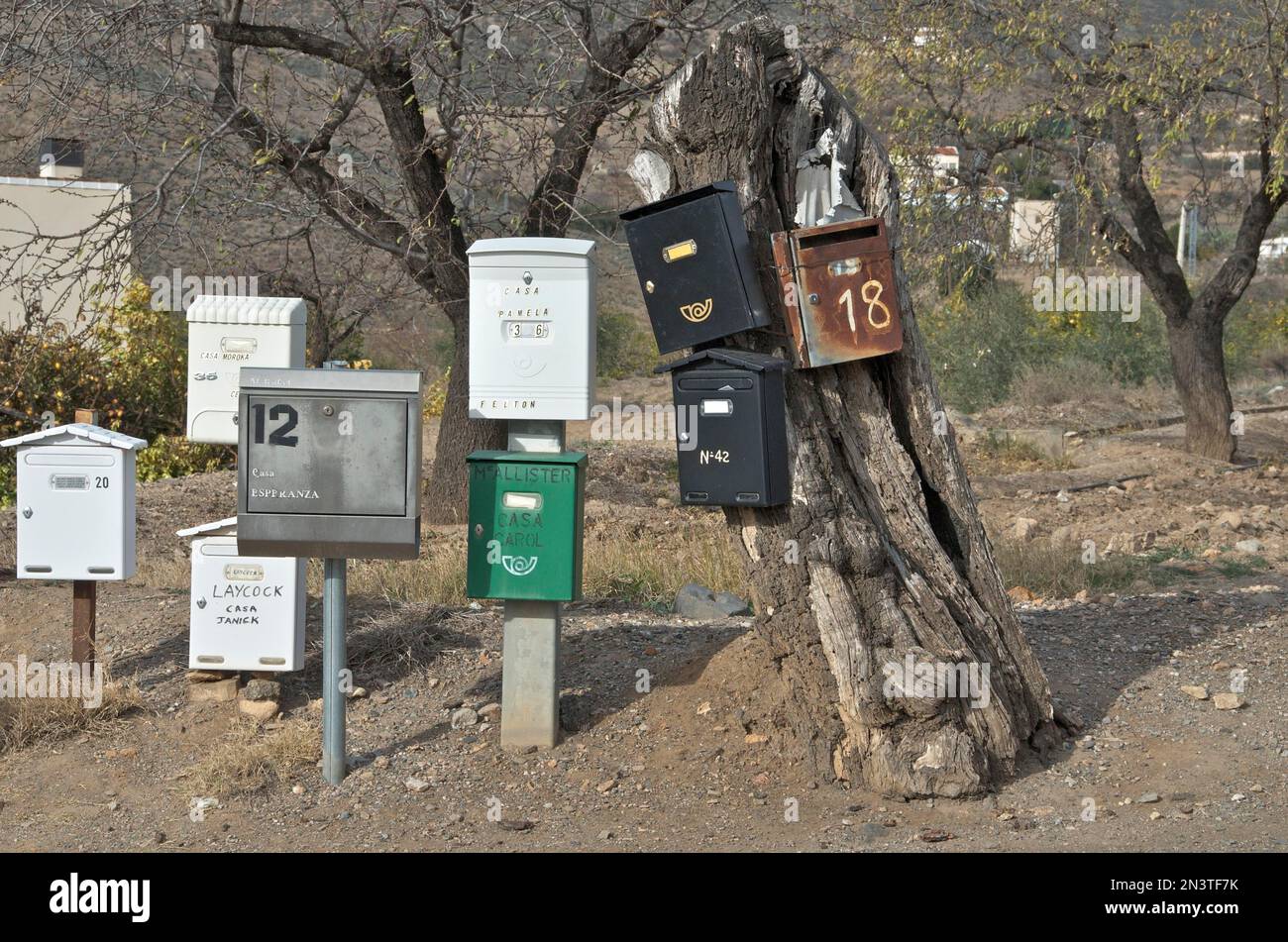 Letterboxes on a stump of a dead olive tree Stock Photo - Alamy
