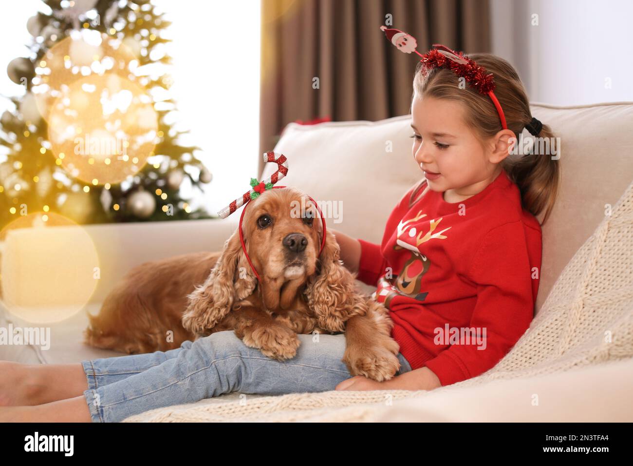 Cute little girl with English Cocker Spaniel in room decorated for ...