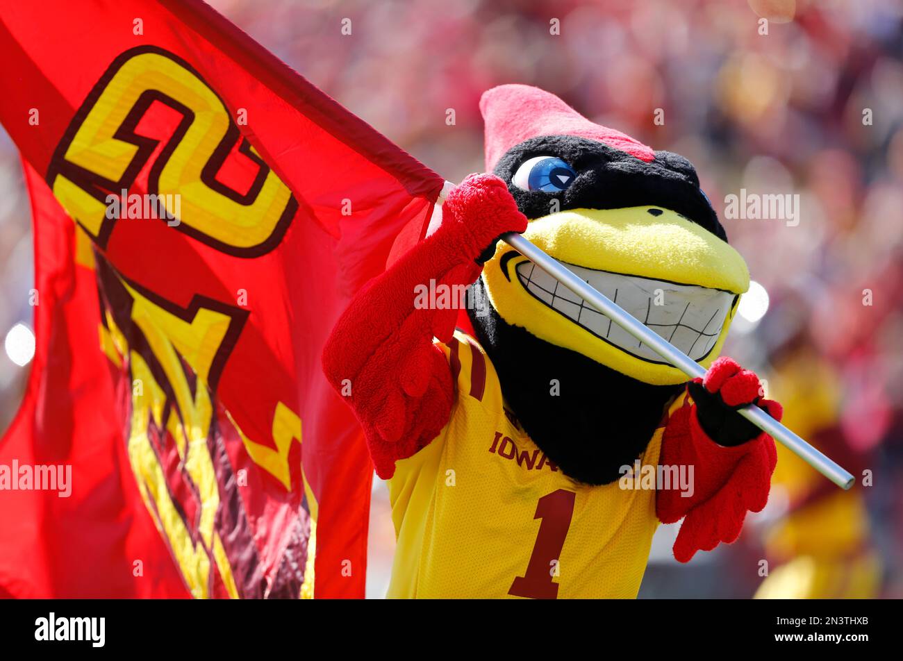 Cy, the Iowa State mascot, before the start of an NCAA football game ...