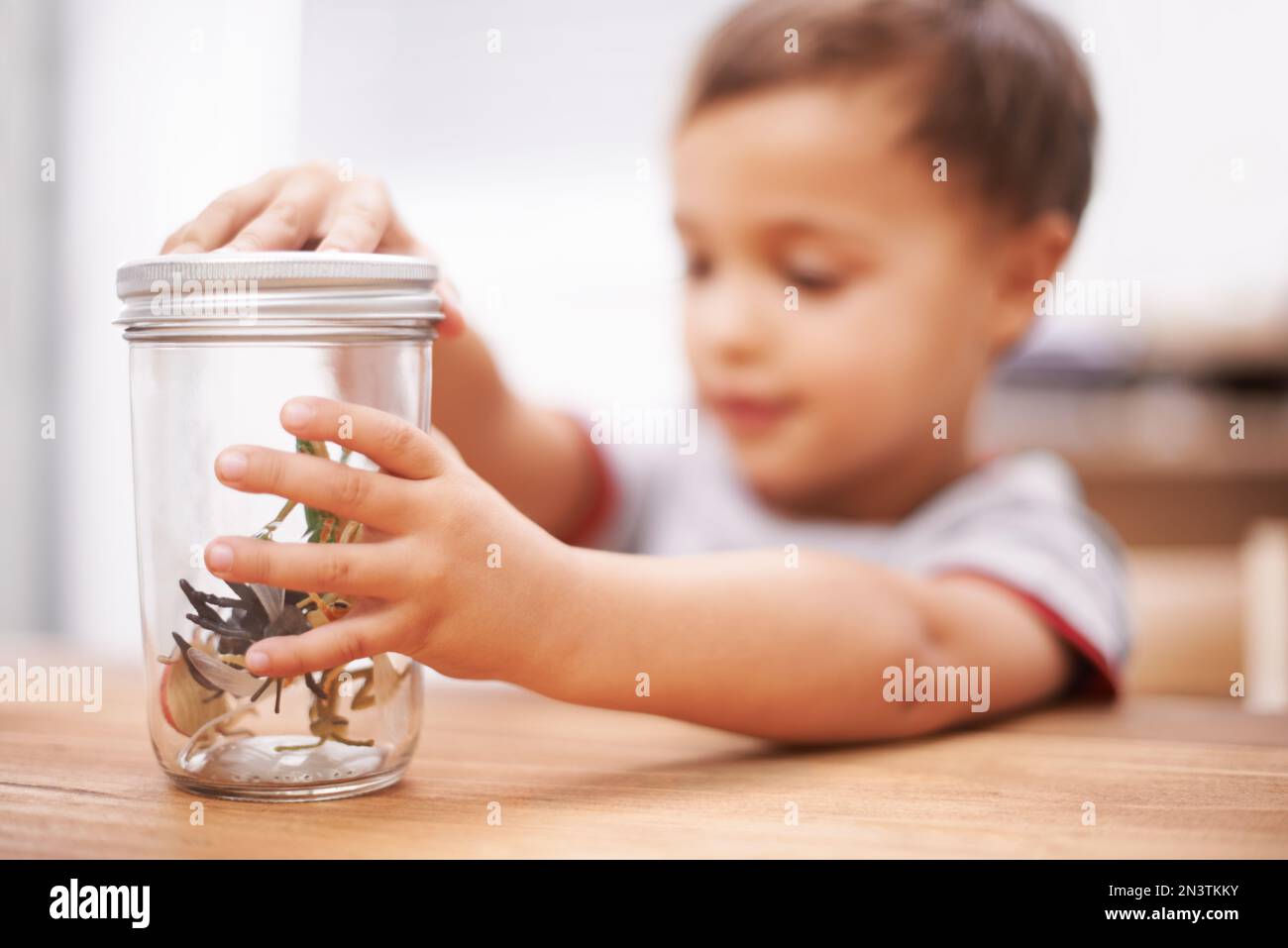 Insects in a bottle. a cute young boy playing with his toys Stock Photo ...