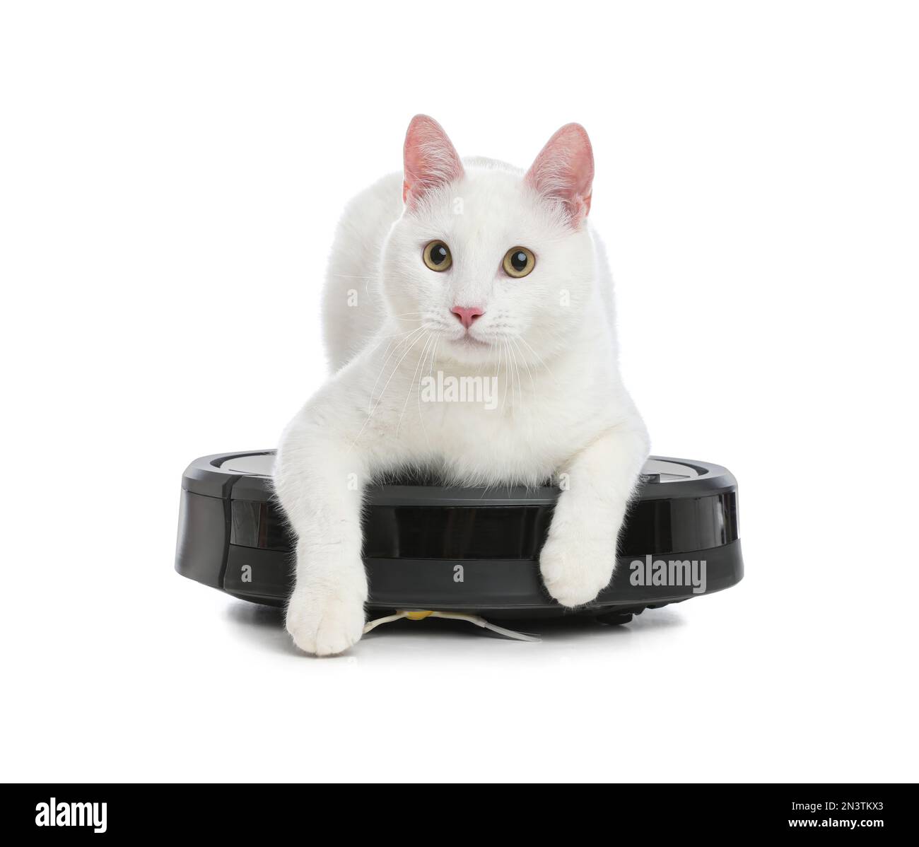 Modern robotic vacuum cleaner and cute cat on white background Stock ...