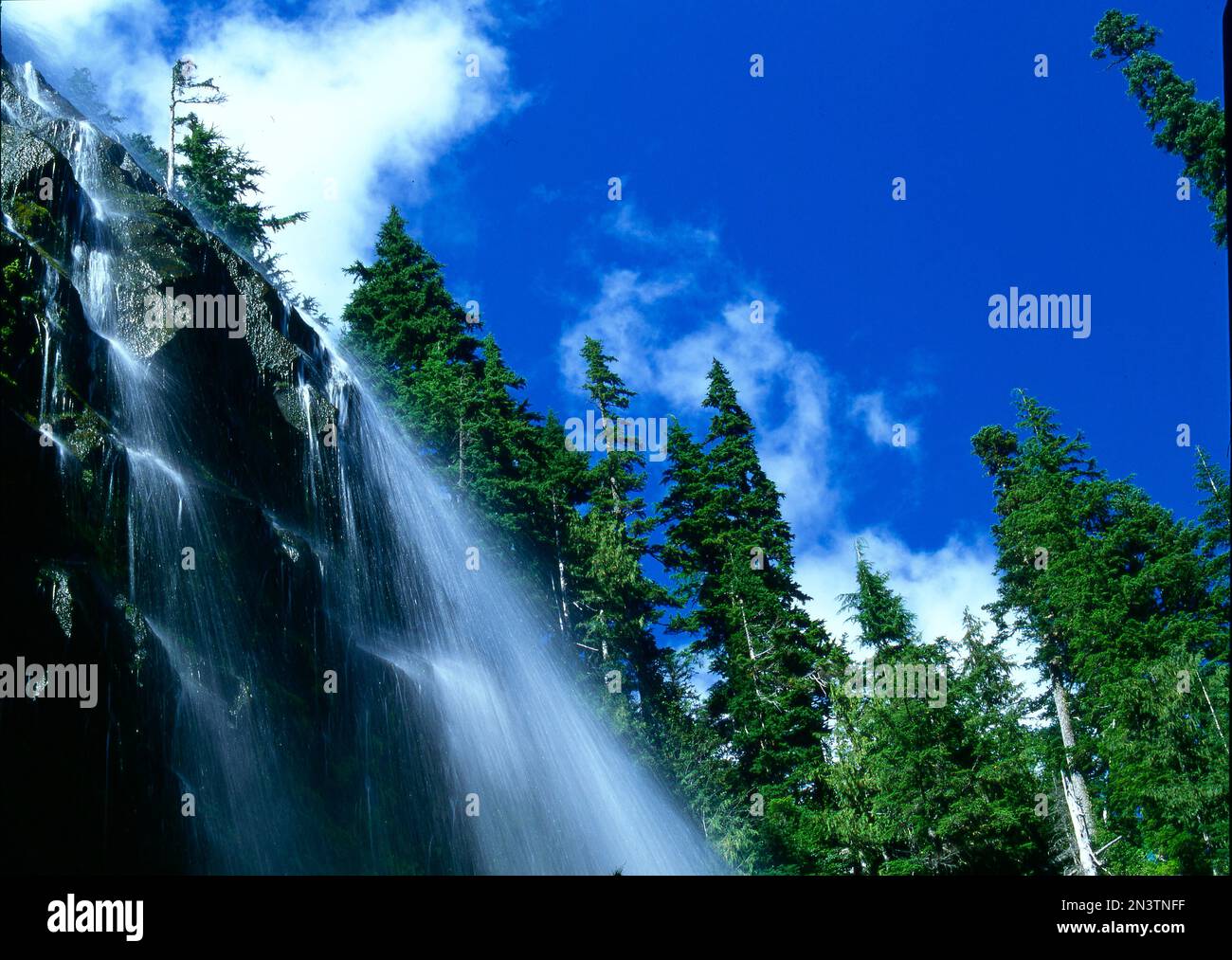 Narada Falls, Mount Rainier National Park, Washington, USA Stock Photo ...