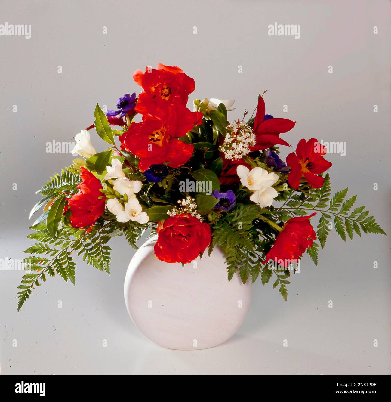 Spring flowers in the vase Clap poppy (Papaver rhoeas), also poppy ...