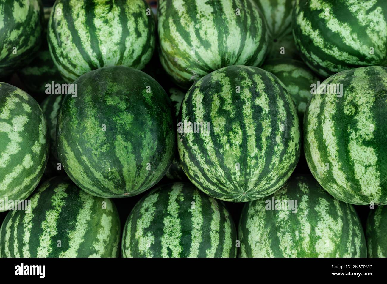 Delicious ripe whole watermelons as background. Sweet berry Stock Photo ...