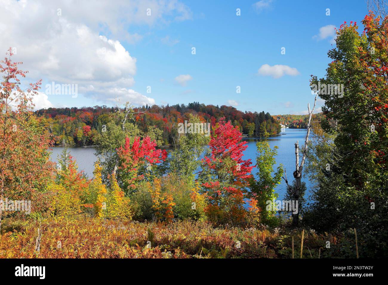 Autumn landscape quebec hi-res stock photography and images - Alamy