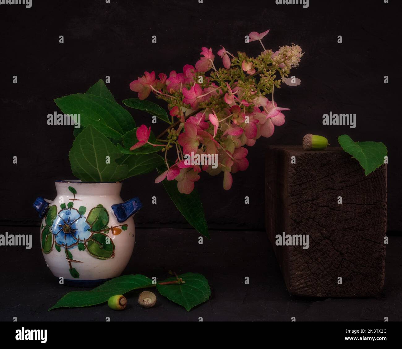 Still Life with Hydrangea Blossom in Colourful Ceramic Vase Next to ...