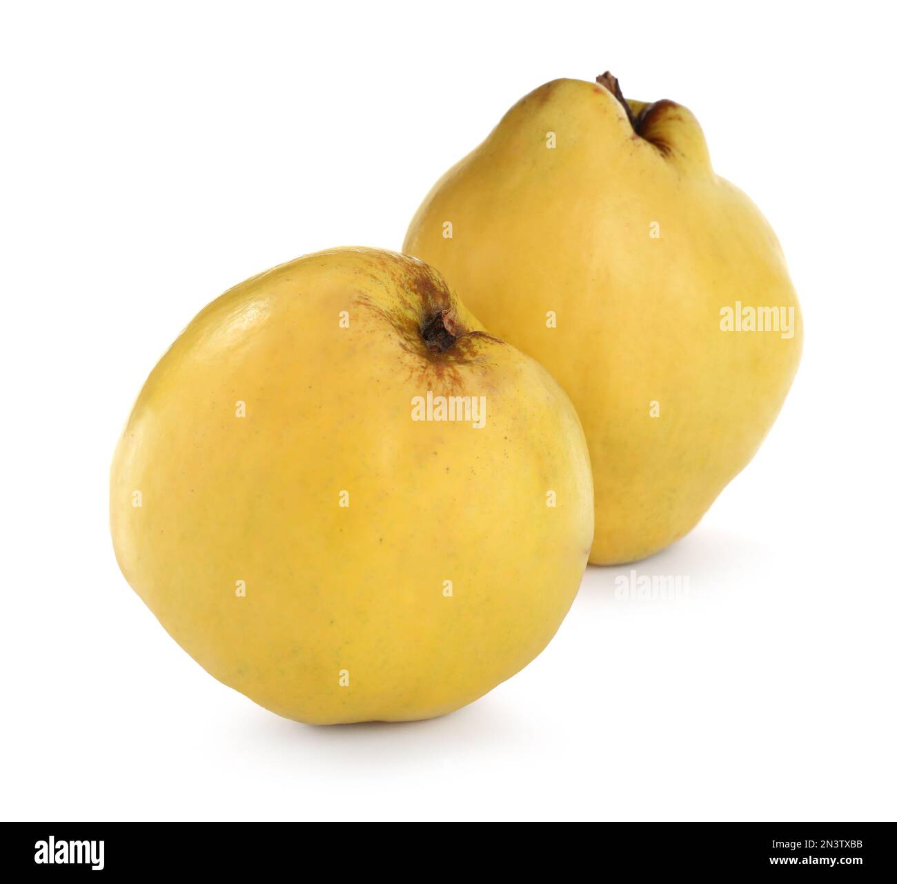 Delicious ripe fresh quinces on white background Stock Photo - Alamy