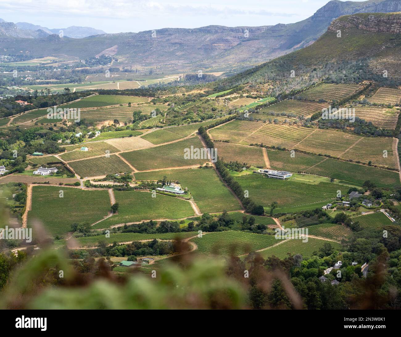 An aerial view of cultivated agricultural plantations on a slope of a ...