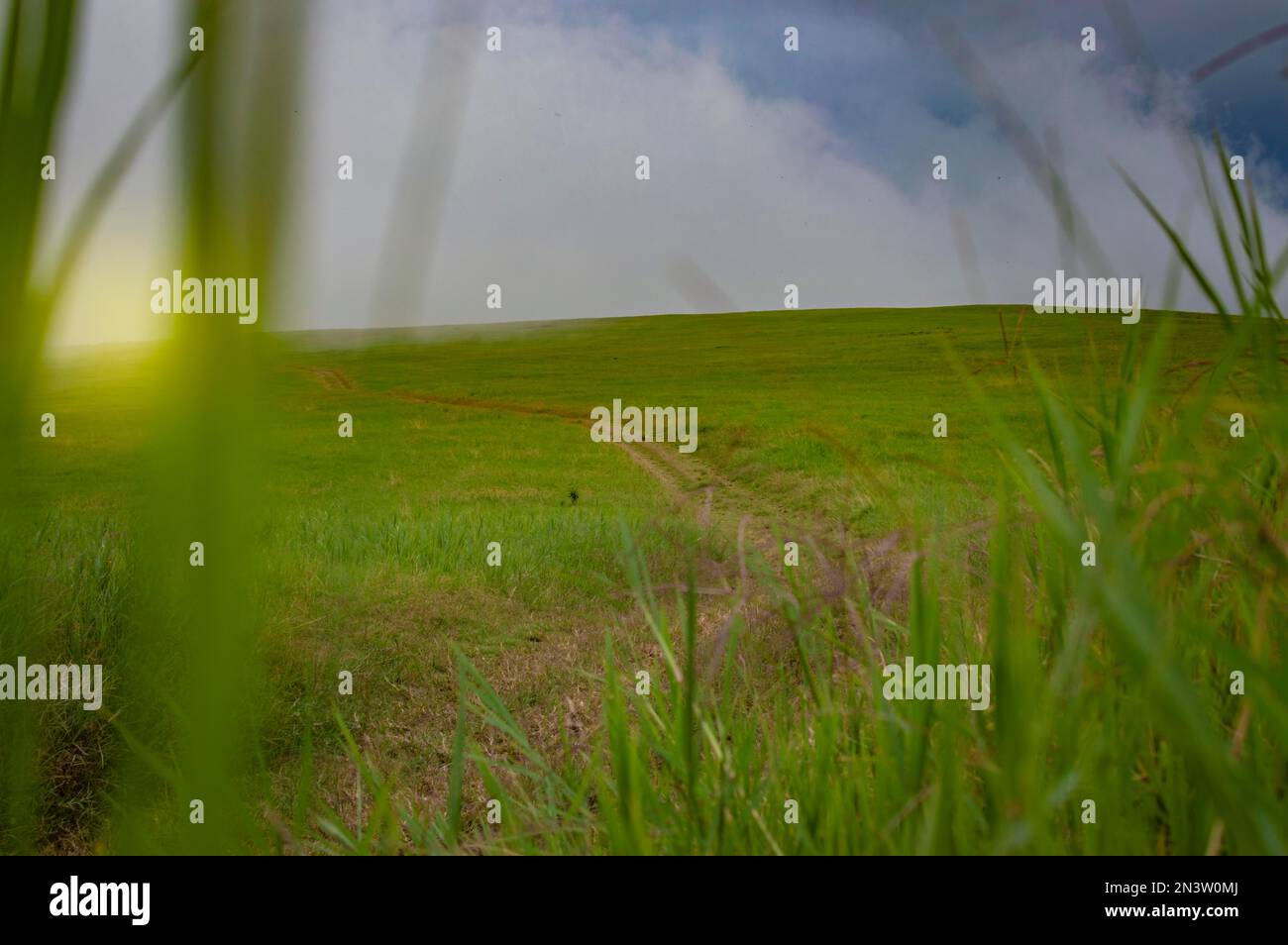 Beautiful little path on a hill surrounded by green grass, landscape of ...