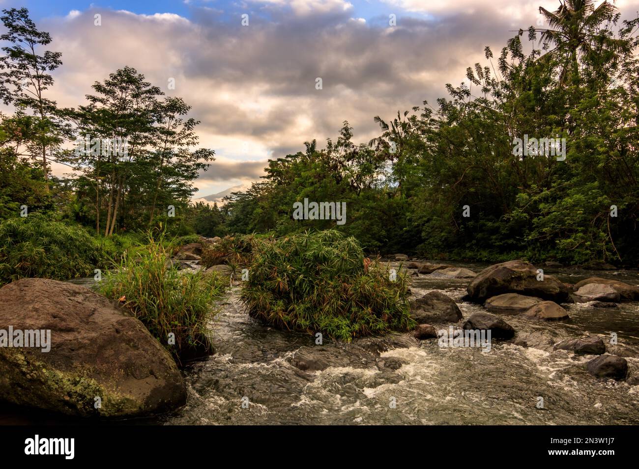 River with jungle, Sidemen, Bali, Indonesia Stock Photo - Alamy