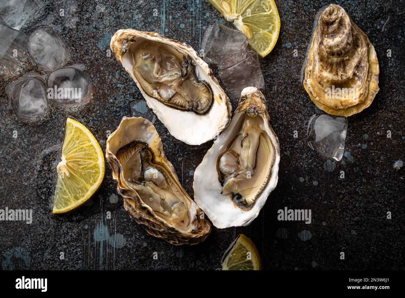 Fresh open oysters served with lemon wedges and ice cubes on rustic ...