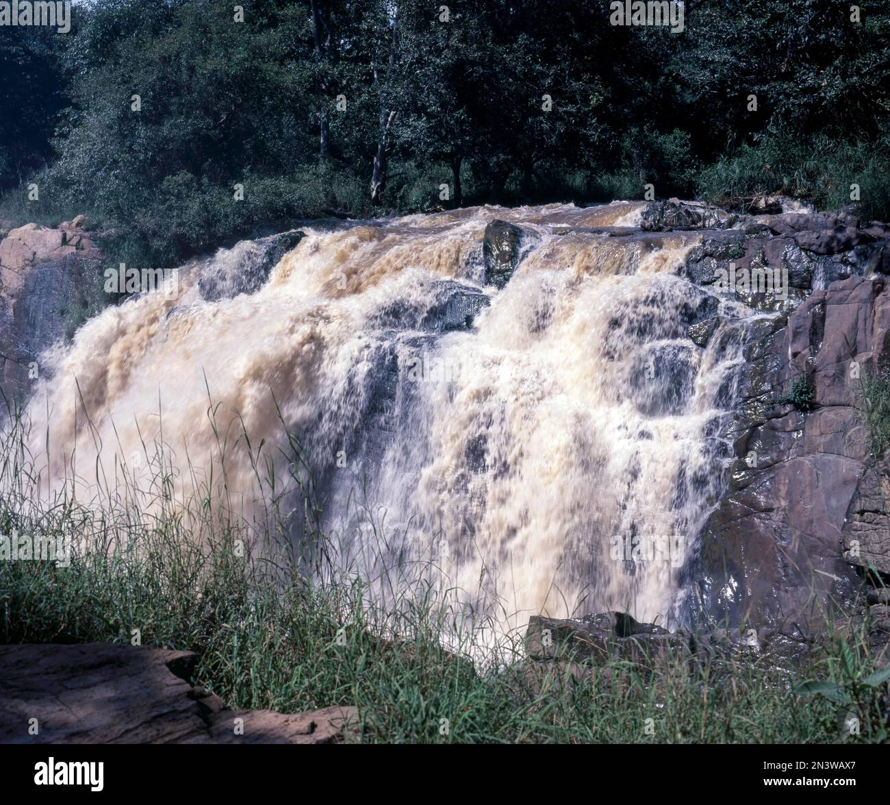 Hogenakkal Falls of Cauvery, Kaveri River, Tamil Nadu, South India ...