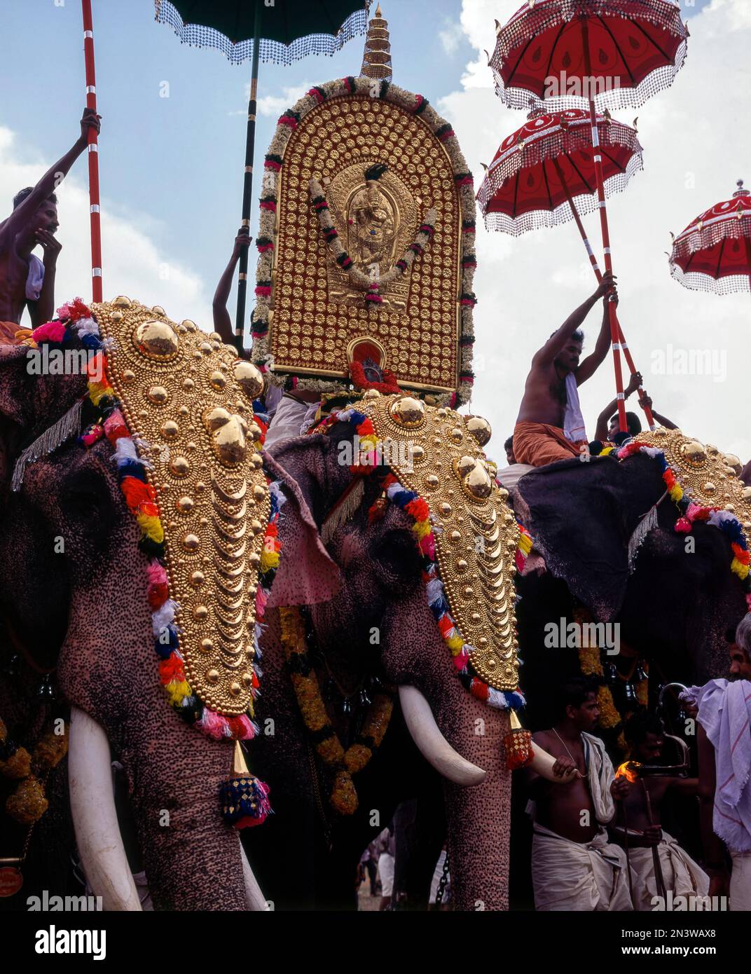 Pooram elephant hi-res stock photography and images - Alamy