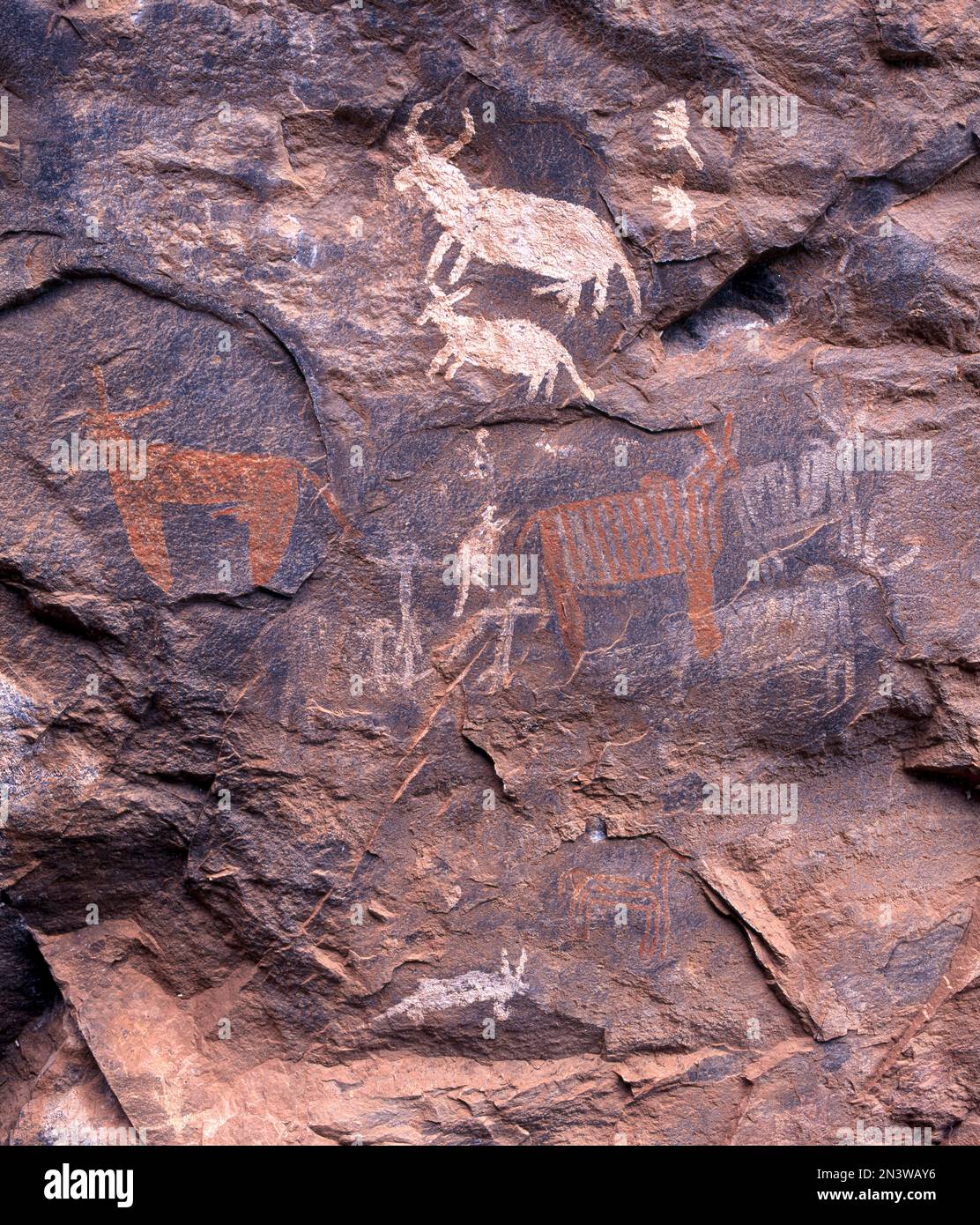 Pre historic rock paintings at Porivarai in Karikkiyur near Kotagiri ...
