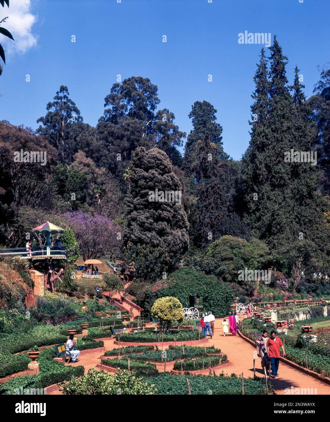 Government Botanical garden in Udhagamandalam Ooty, Tamil Nadu, South ...