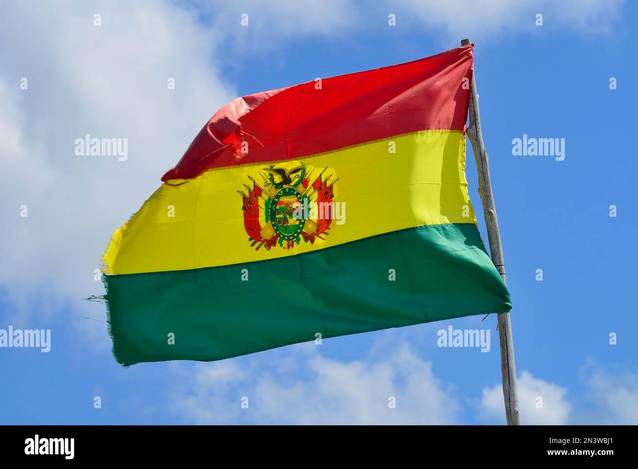 Bolivian flag in the wind, near Trinidad, Department of Beni, Bolivia ...