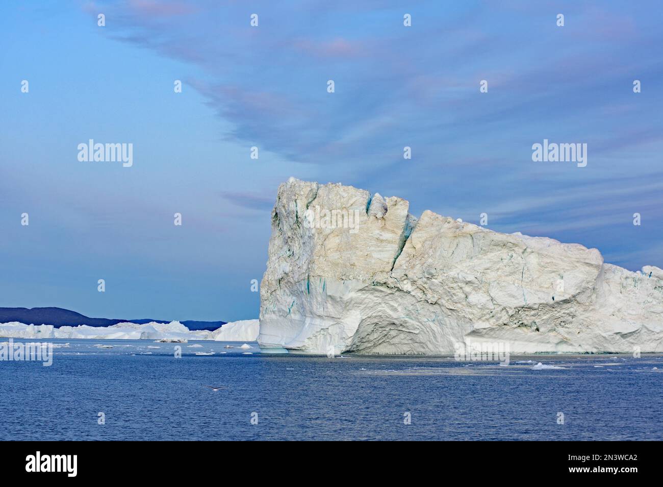 Giant icebergs in July, blue hour, Disko Bay, Ilulissat, Arctic West ...