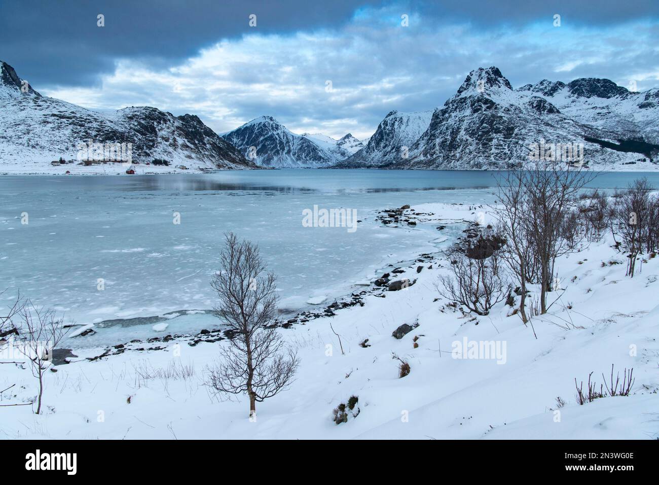Scandinavian Landscape Winter