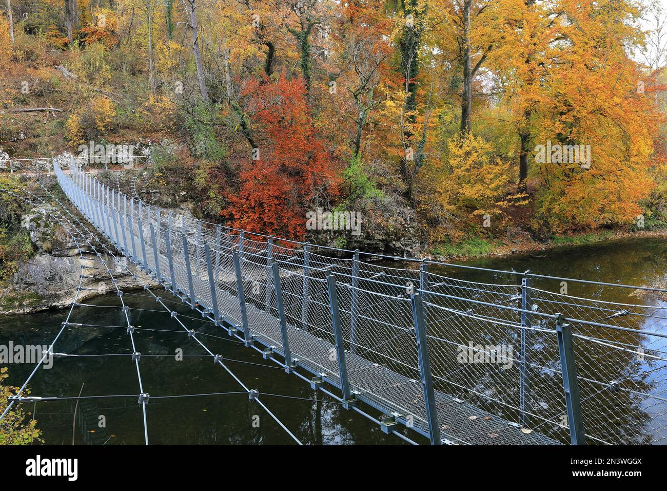Suspension bridge over the Danube, mixed forest in autumn colour ...