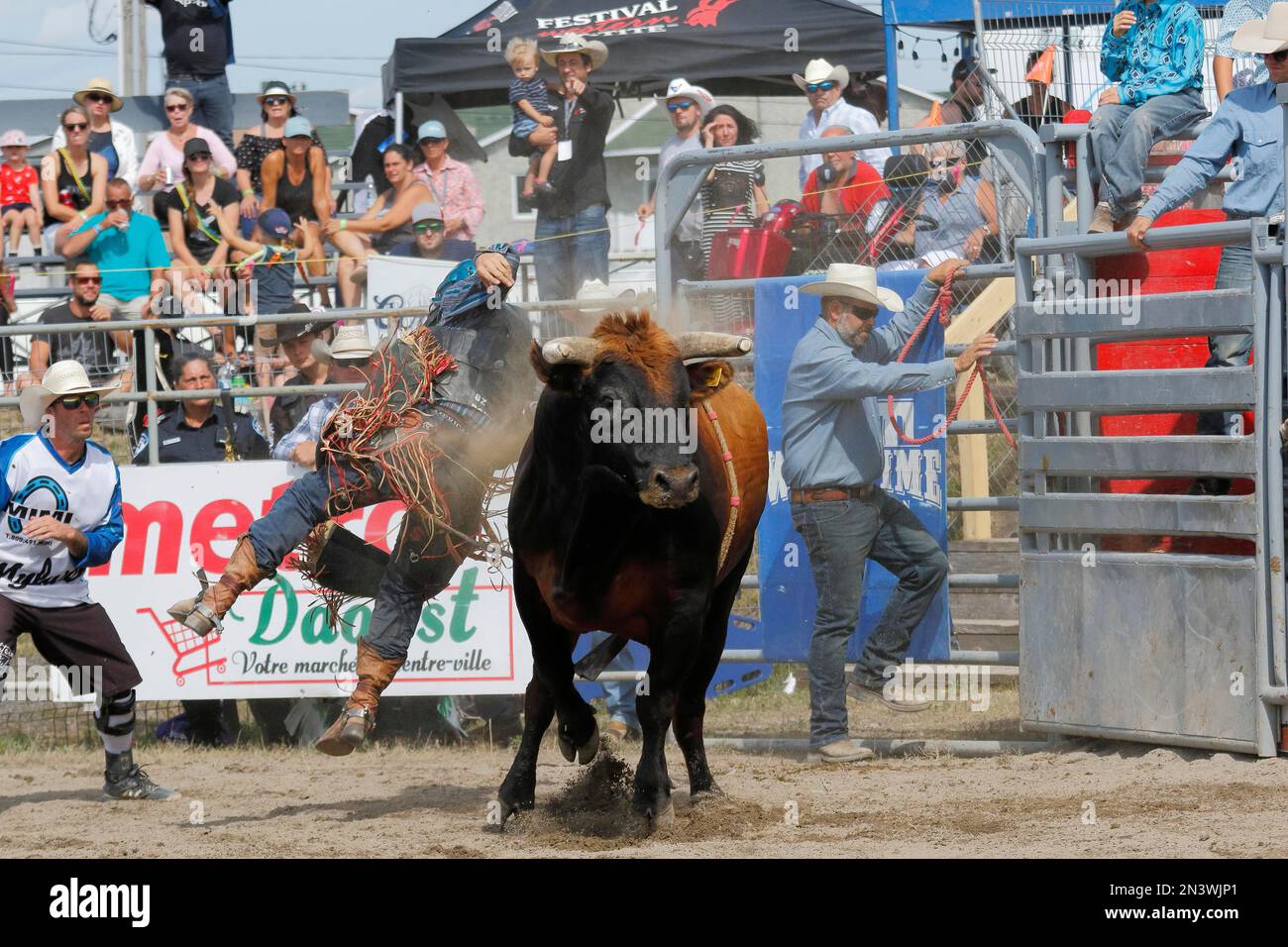 Rodeo, bull riding, Valleyfield, Quebec Province, Canada Stock Photo ...