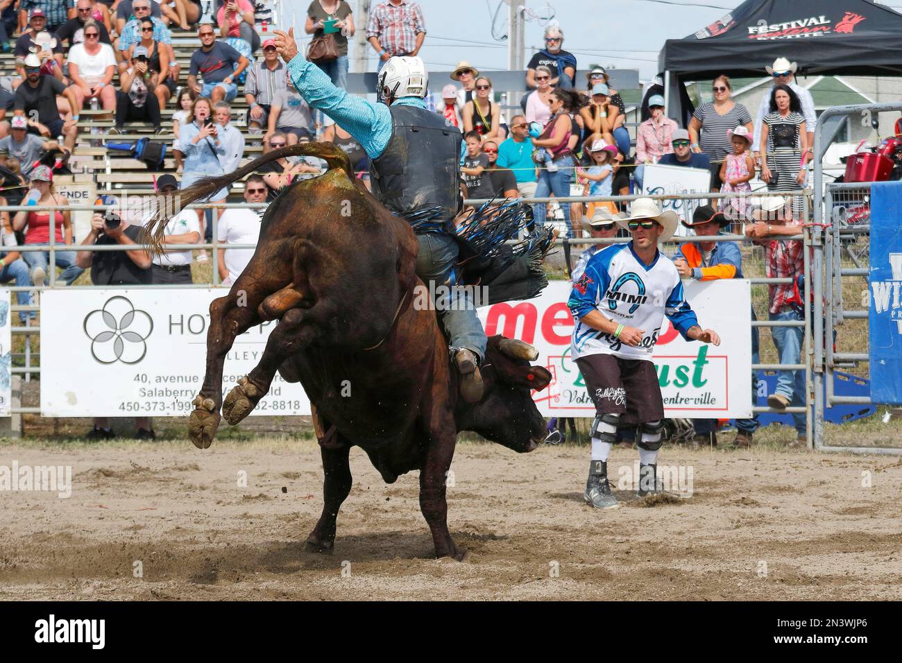 Bull riding hi-res stock photography and images - Alamy