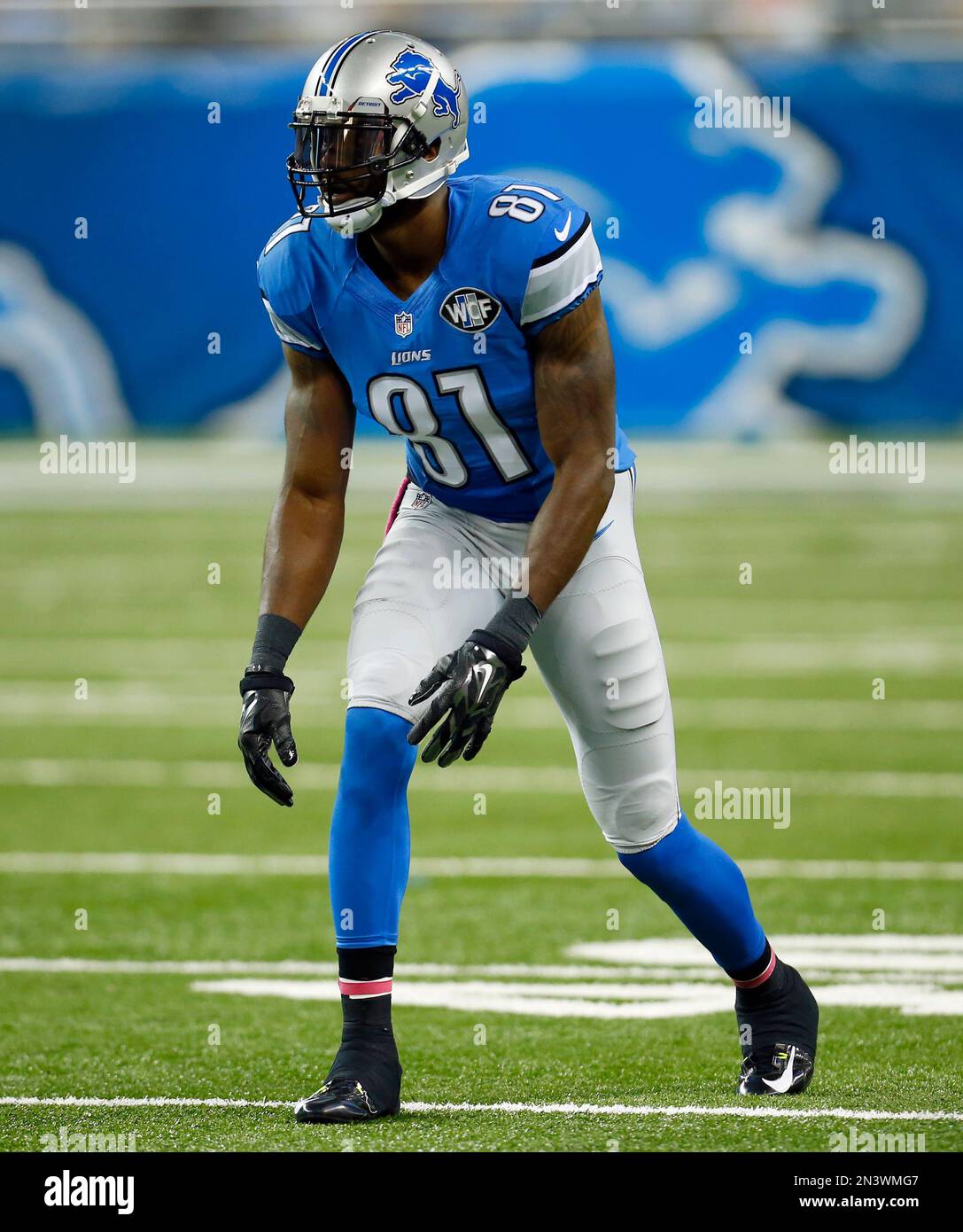 Detroit Lions wide receiver Calvin Johnson (81) lines-up against the ...
