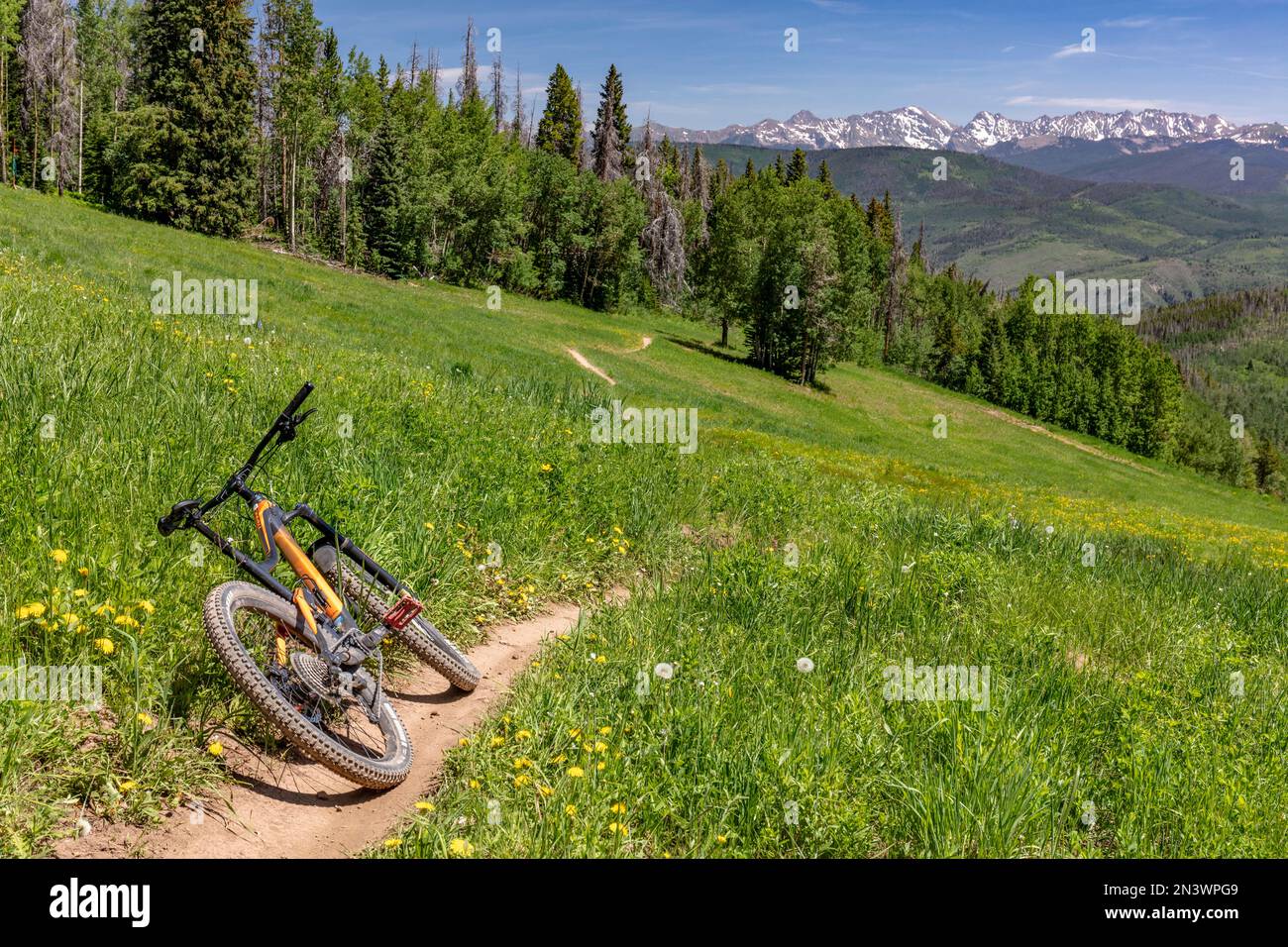 Radweg, Beaver Creek Mountain, Colorado, USA Stock Photo - Alamy