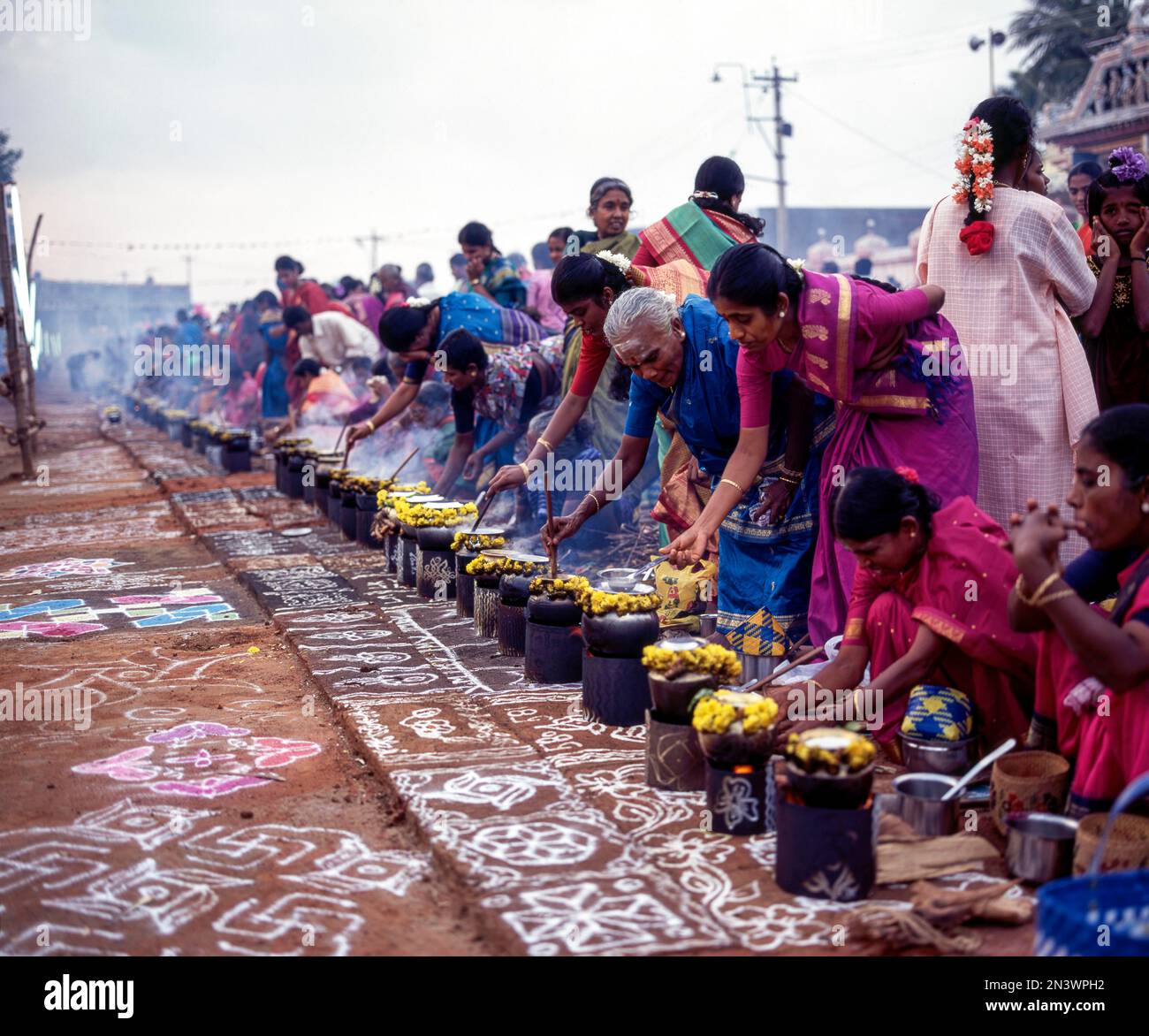 Women preparing to celebrate sevvai Pongal in Paganeri Village ...