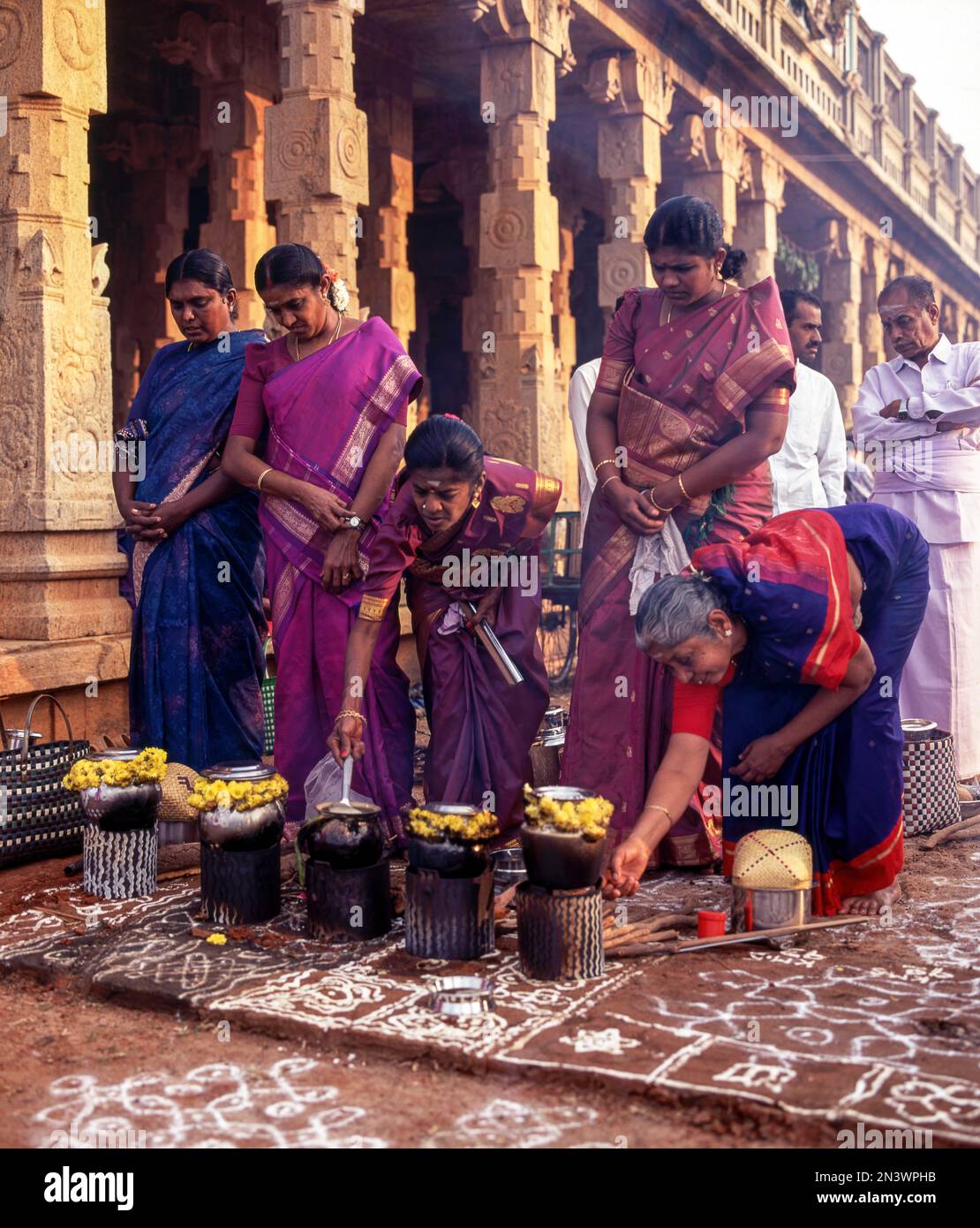 Pongal festival or Sevvai Pongal in Nattarasankottai Village, Sivaganga ...