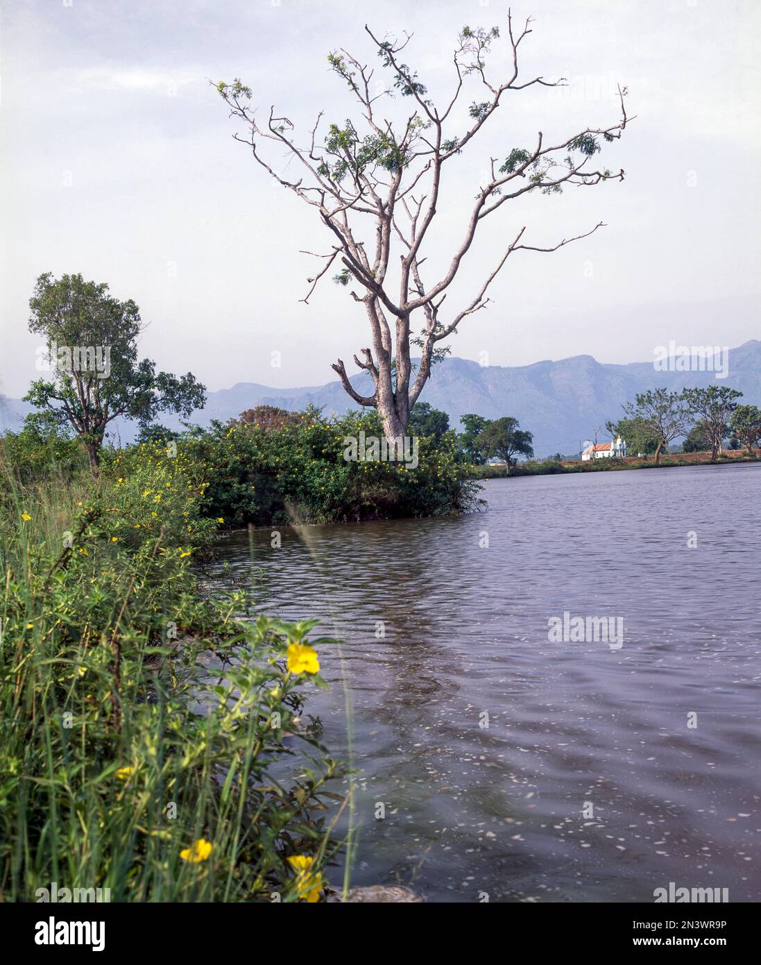 Moyar Lake near Masinagud in Ooty, Udhagamandalam, Nilgiris, Tamil Nadu ...