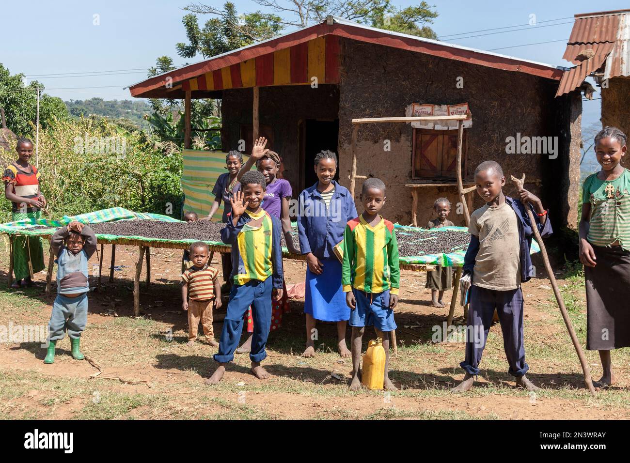 Children, coffee drying, Kaffa, Ethiopia Stock Photo - Alamy