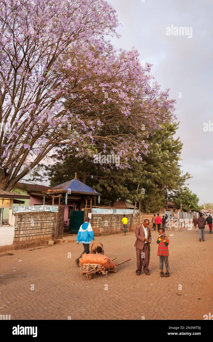 Ethiopian street scene hi-res stock photography and images - Alamy
