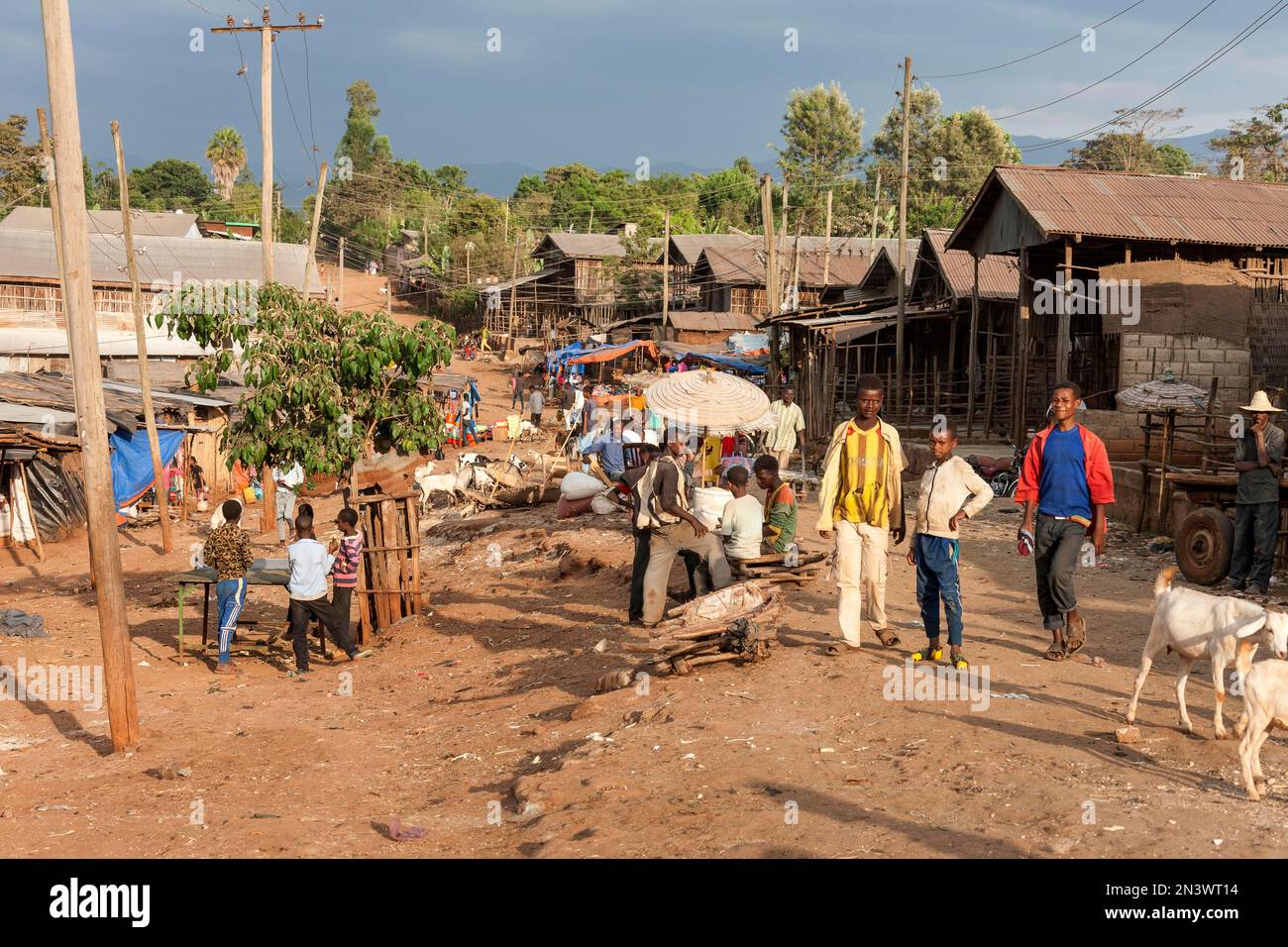 Ethiopian scene hi-res stock photography and images - Alamy