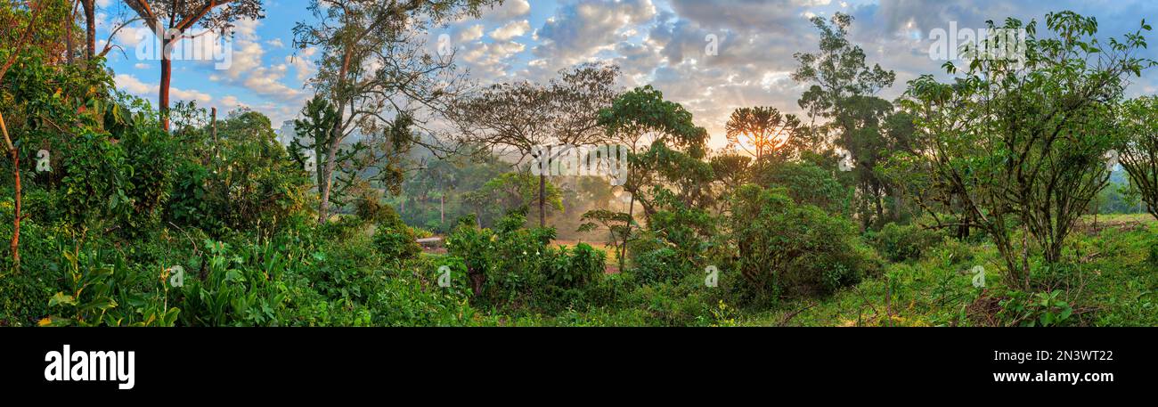 Landscape, Sunrise, Kaffa, Panorama, Ethiopia Stock Photo - Alamy