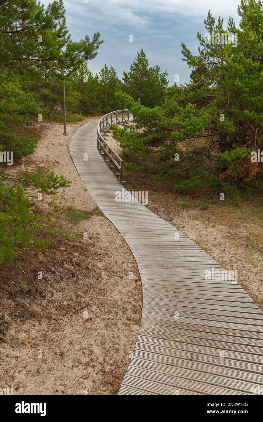Wooden path on the beach surrounded by pine trees and going over sand ...