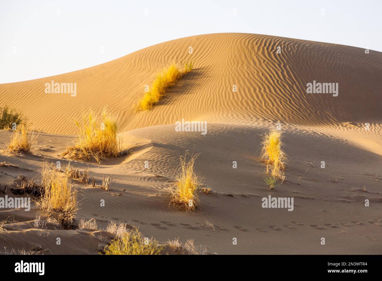Turkmenistan sand hi-res stock photography and images - Alamy