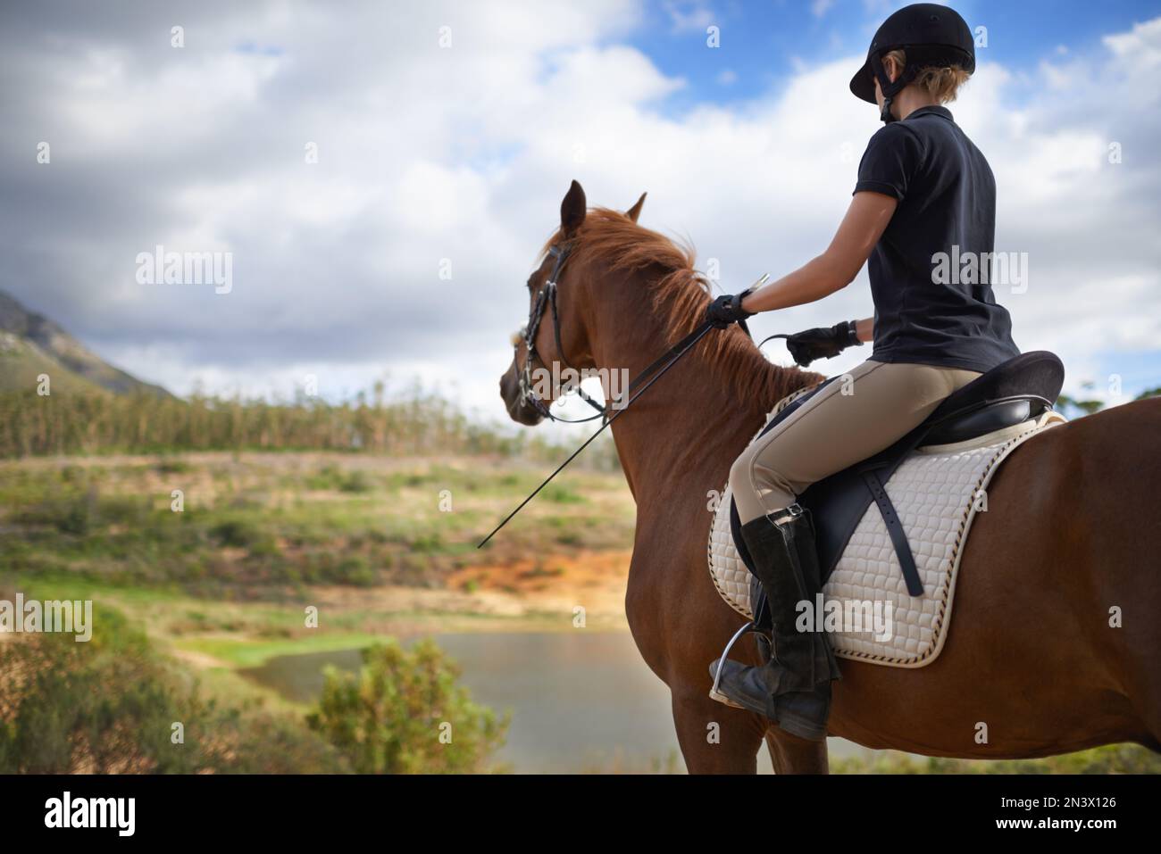 Free as the wind...A beautiful young woman riding on a chestnut horse ...