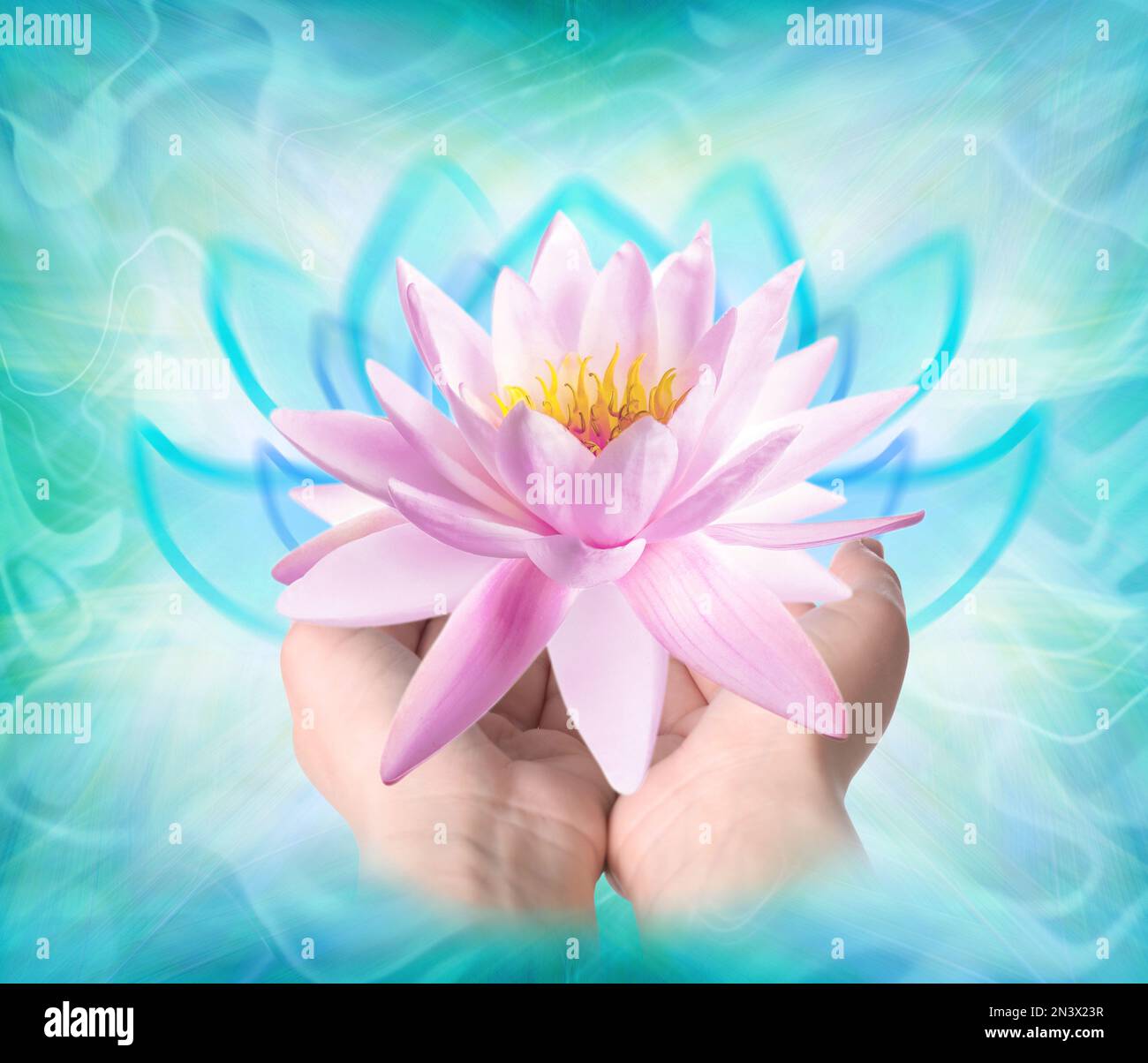 Hands holding lotus flower hi-res stock photography and images - Alamy