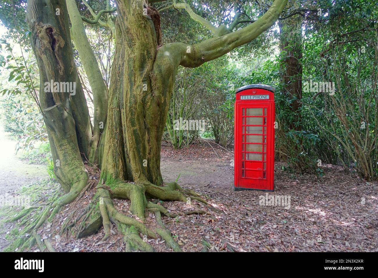 Woodland Telephone Box Stock Photo - Alamy