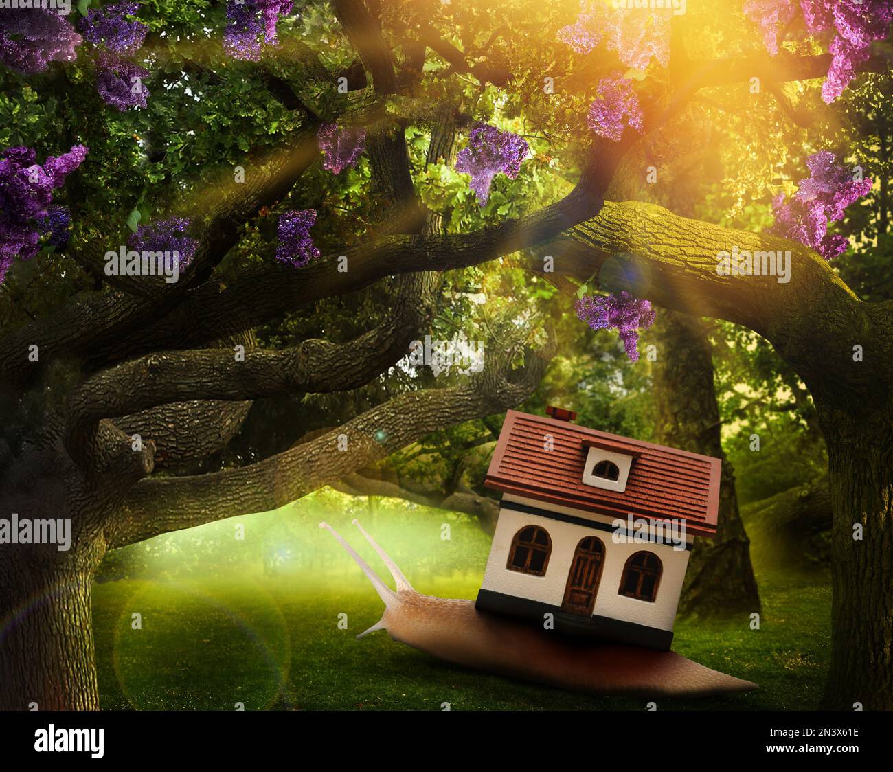 Fantasy world. Magic snail with its shell house moving in beautiful ...