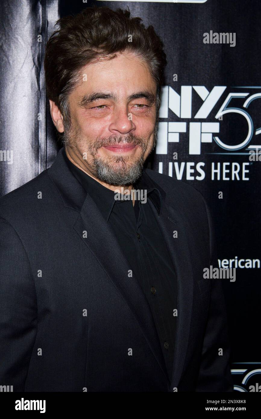 Benicio del Toro attends the world premiere of "Inherent Vice" during ...