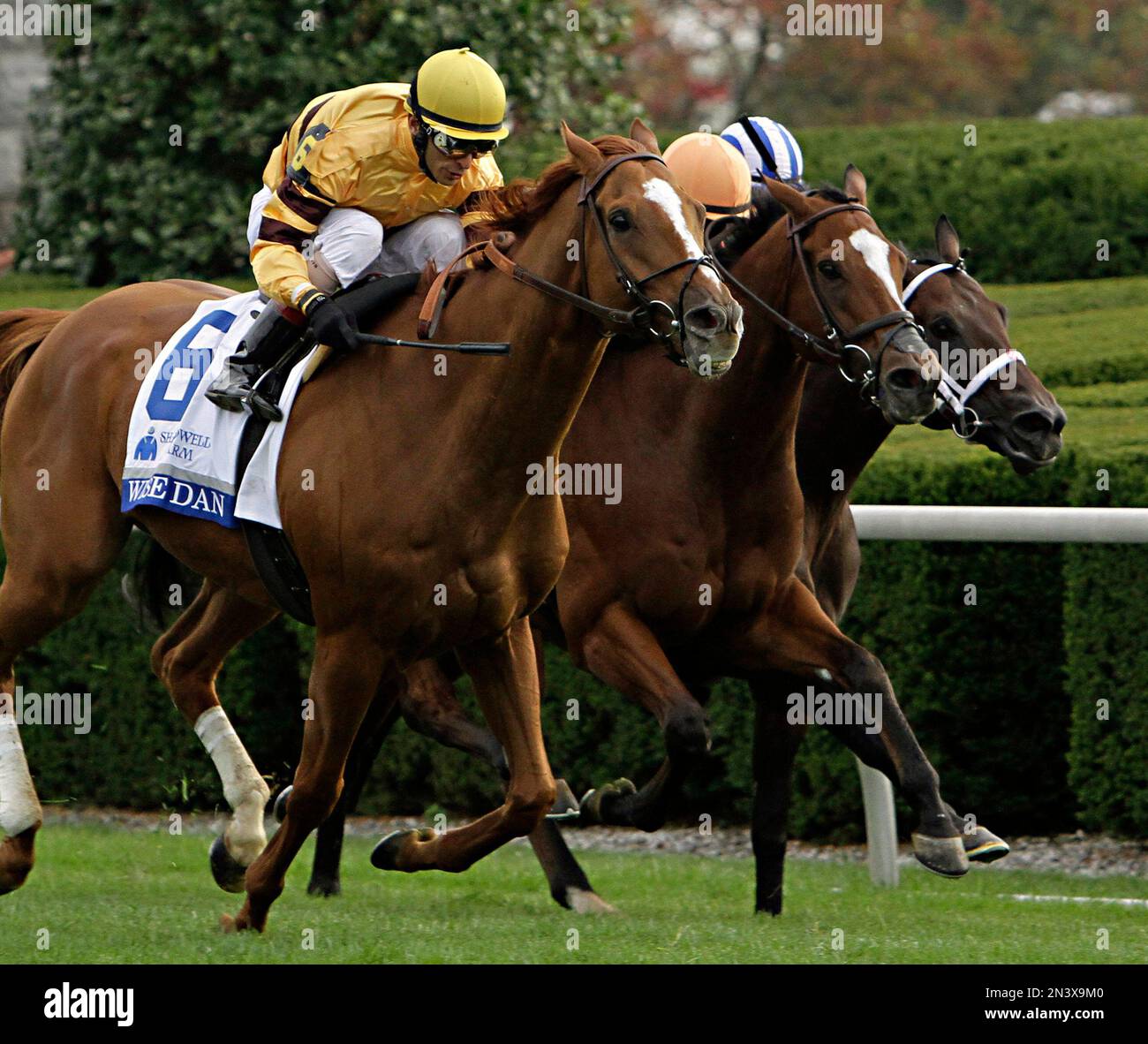 Wise Dan, left under jockey John Velazquez, runs past Grand Arch ...