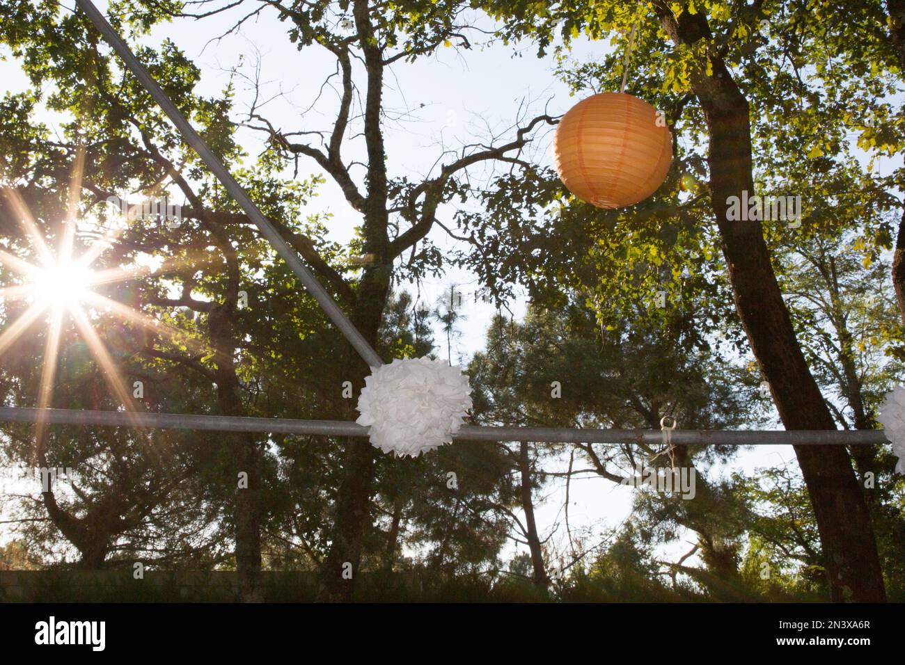 Lanterns hanging tree branch hi-res stock photography and images - Alamy