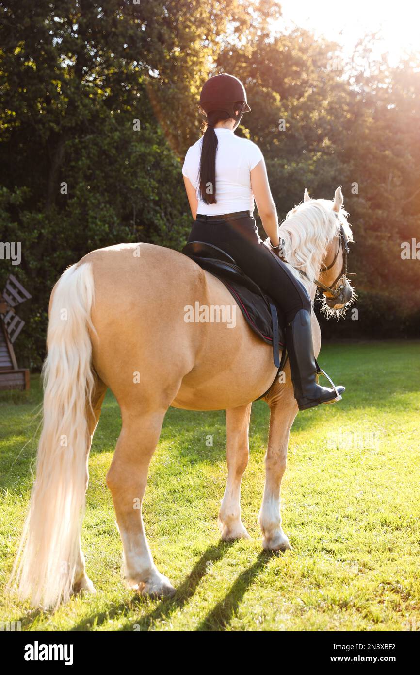 Young woman in equestrian suit riding horse outdoors on sunny day, back ...