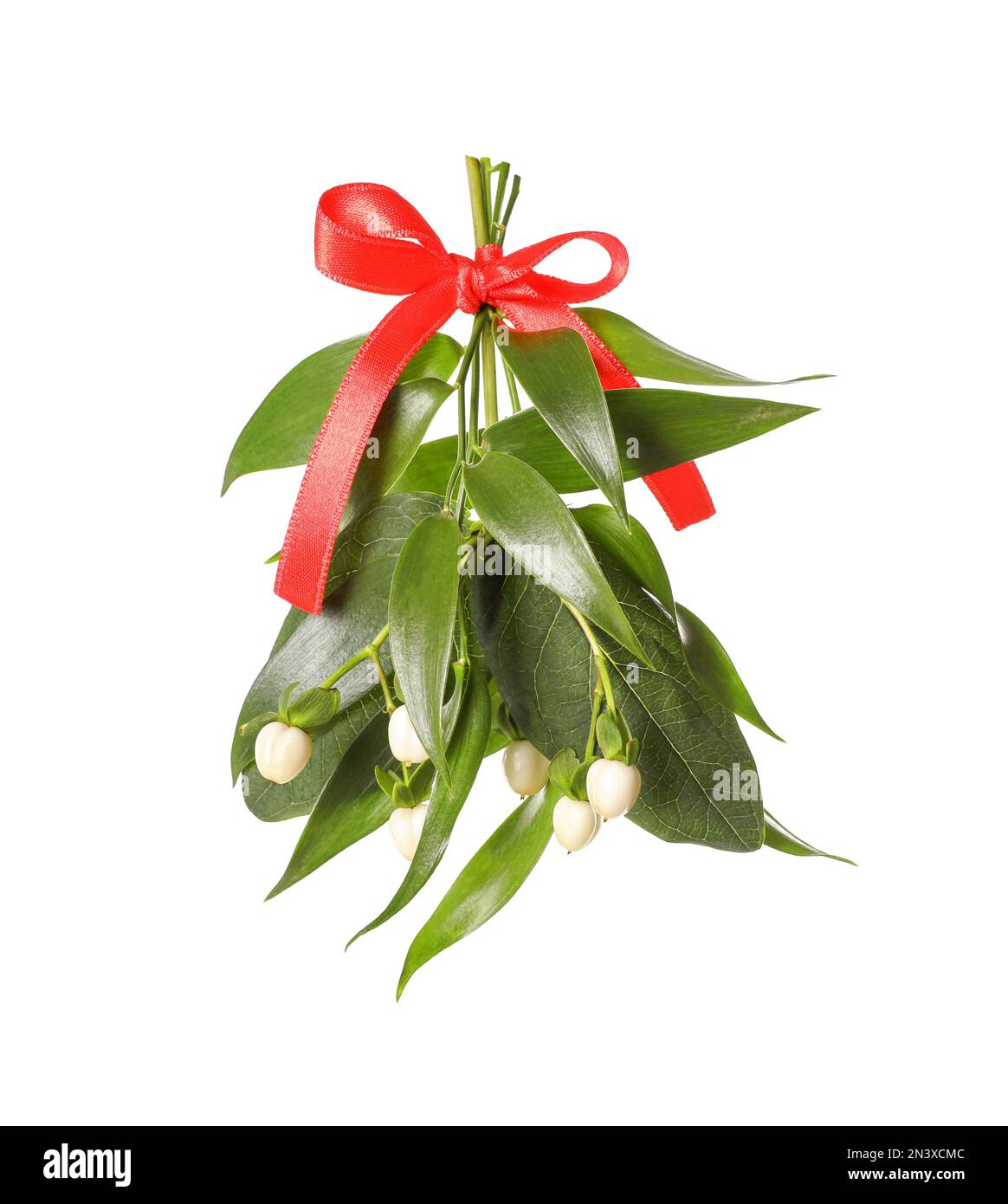 Mistletoe berries red color Cut Out Stock Images & Pictures - Alamy